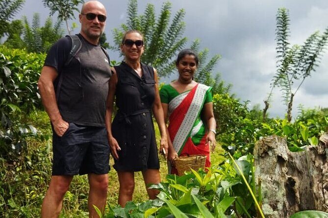 Ceylon Tea Experience Start from Colombo Port Passenger Terminal - FAQ