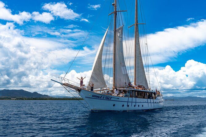 CFC APPROVED Private Departure Transfer - Naviti Resort to Nadi Airport - Comfort, Convenience, and Value