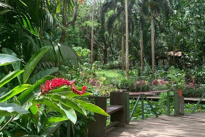 CFC Hot Spring Mud Pool,Garden Of Sleeping Giant And Village Visit Half Day Tour - A Closer Look at the Itinerary