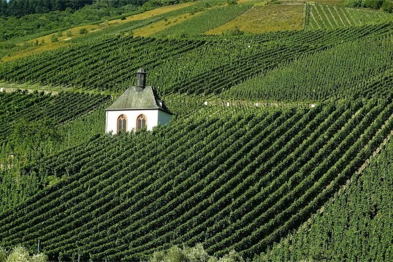 Chablis Day Trip From Paris including 8 tastings & lunch - Why This Tour Is a Great Choice