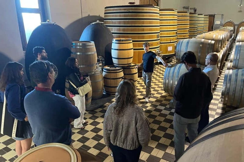Chablis Day Trip From Paris including 8 tastings & lunch - The Sum Up