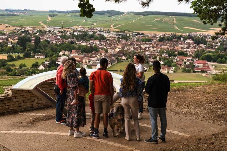 Chablis: Visit of the Grand Cru vineyard - An In-Depth Look at the Chablis Grand Cru Vineyard Tour