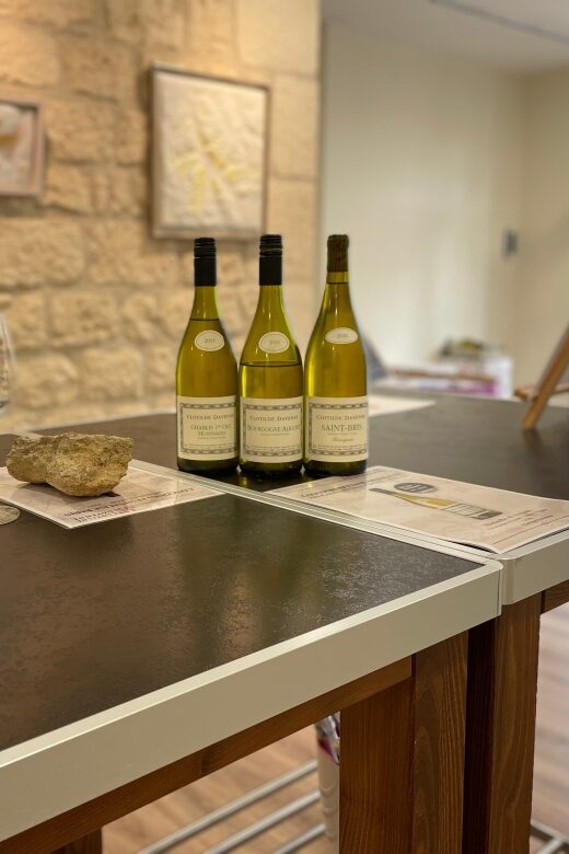 Chablis Wine and Cheese Pairings Clotilde Davenne - Who Should Consider This Tour?