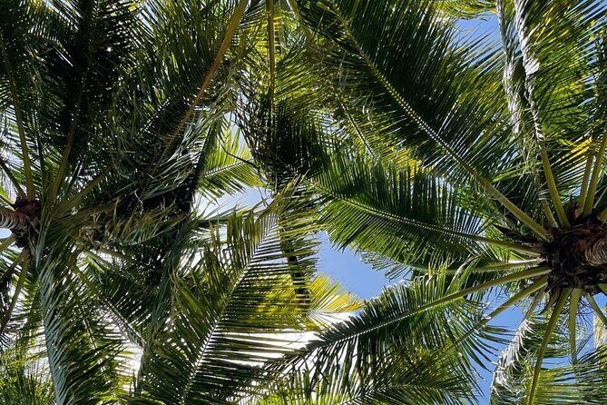 Chacchoben Mayan Ruins & Bacalar 7 Colors Lagoon from Costa Maya - FAQ