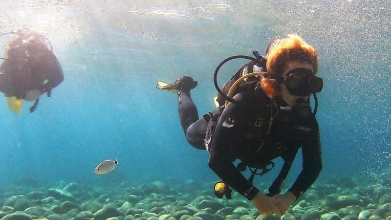 Chalkidiki: Scuba Diving for Beginners in Kassandra - The Marine Life and Environment