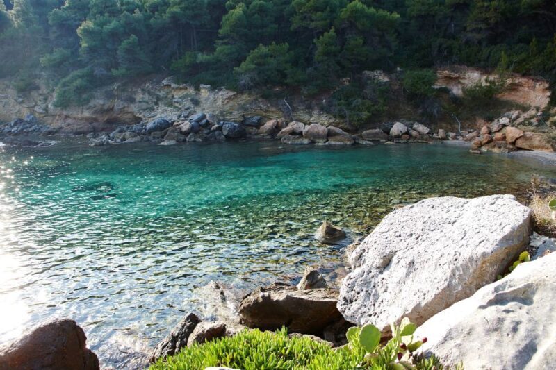 Chalkidiki: Scuba Diving for Beginners in Kassandra - Equipment & Learning Materials