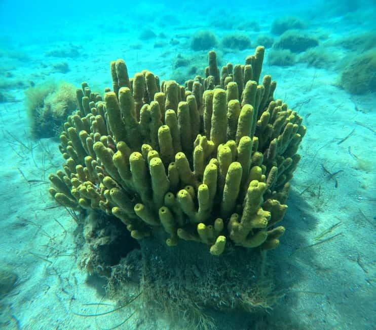 Chalkidiki: Snorkeling Adventure in Sithonia - Final Thoughts