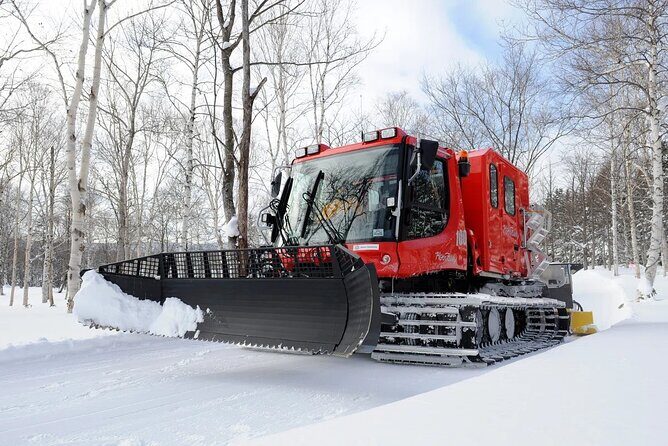 Challenge the beautiful winter art! Snow art creation experience - Key Points