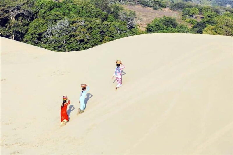 Cham Culture & Coastal Beauty: Ninh Thuan Full-Day Tour - The Sum Up: Who Benefits Most from This Tour?