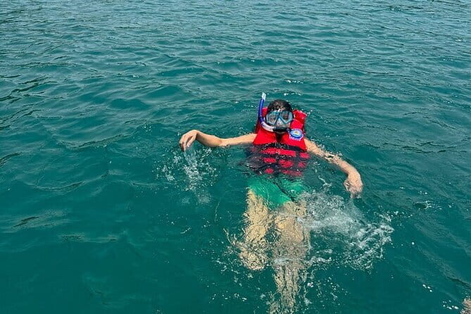 Cham Island Adventure: Sightseeing, Snorkeling & Seafood Set Menu - Key Points