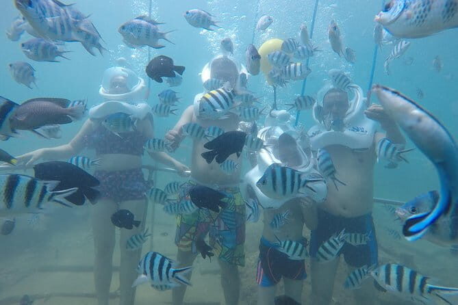 Cham Island Adventure: Snorkeling, Sightseeing & Seafood Set Menu - The Experience for Different Types of Travelers