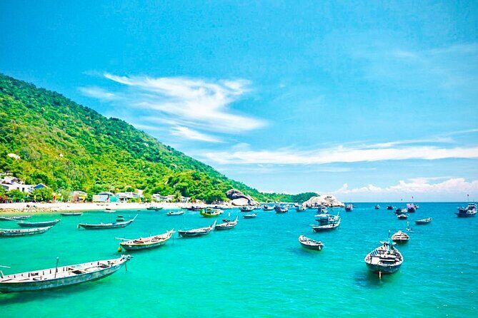 Cham Island Day Tour from Hoi An with Group tour - Who Is This Tour Best Suited For?