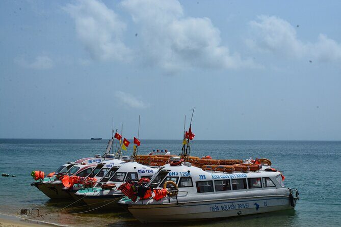 Cham Island Day Tour: Speed Boat, Lunch, Snorkeling & Beach - Practical Tips for a Smooth Experience