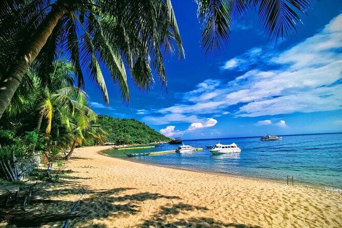 Cham Island Discovery: Snorkeling, Sightseeing & Seafood Set Menu - Who Should Consider This Tour?