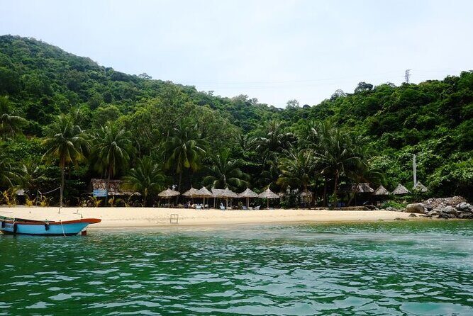 Cham Island Exploration Tour and Swimming with Local Guide - Who Will Love This Tour?