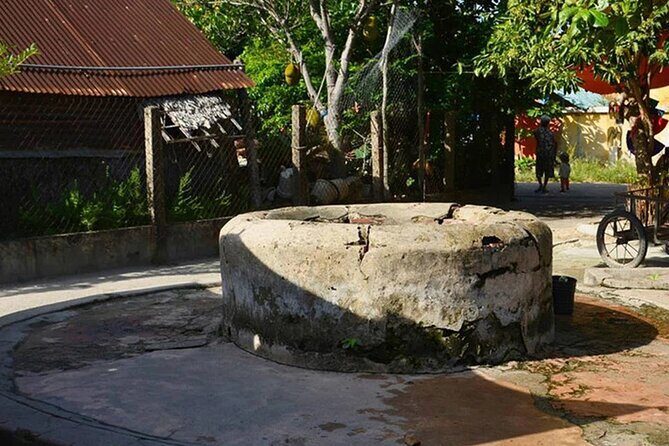 Cham Island Full Day Tour depart from Da Nang visit Au Thuyen and Ong Temple - The Sum Up