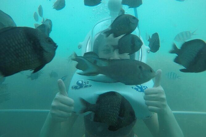 Cham Island Sea Walk and Snorkeling Experience by Speedboat - Practical Tips for Travelers