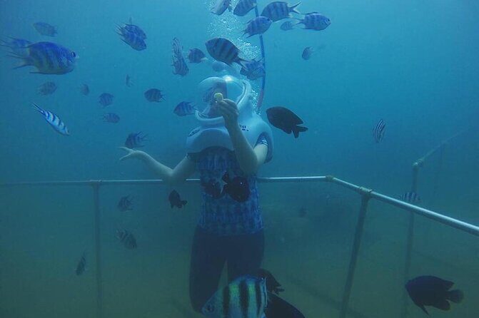 Cham Island Sea Walk and Snorkeling Experience by Speedboat - The Sum Up: Is It For You?