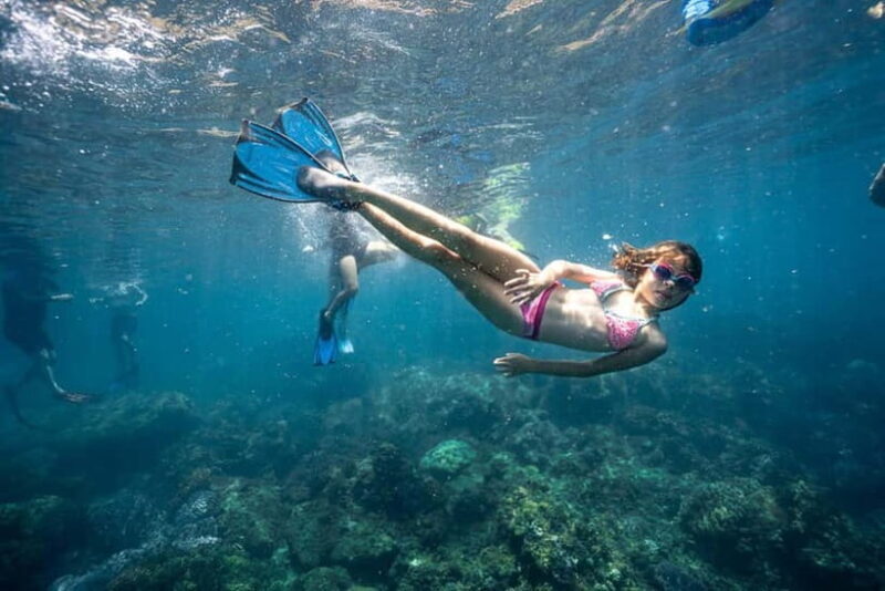 Cham Island Sightseeing & Snorkeling Day Tour from Da Nang - An In-Depth Look at Cham Island’s Day Tour