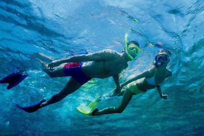 Cham Island Snorkeling and Sightseeing from Hoi An and Da Nang - FAQ