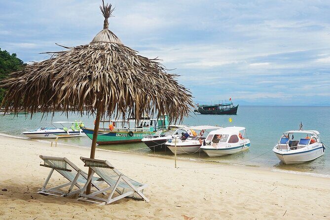 Cham Island Snorkeling: Top Day Trip from Hoi An or Da Nang - The Sum Up