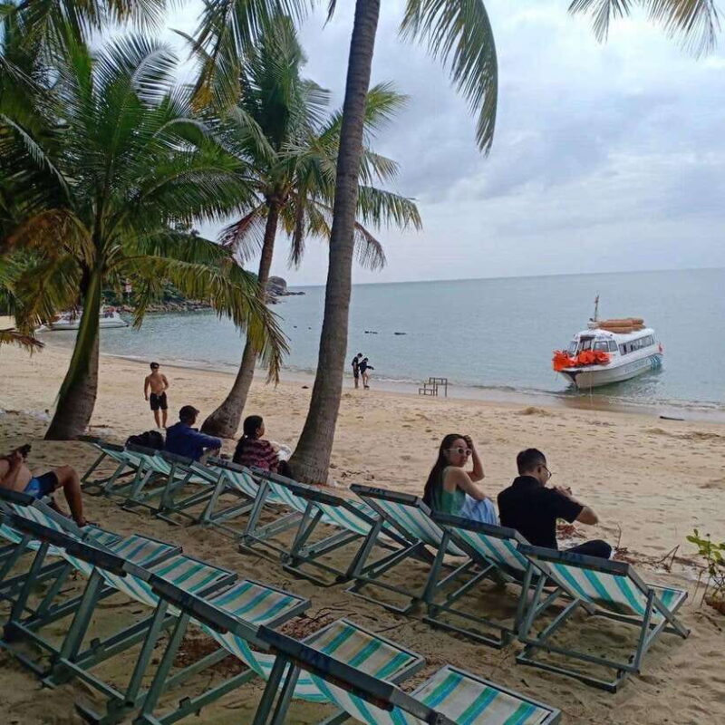 Cham Island: Snorkeling Tour by Speed Boat From HoiAn/DaNang - The Value for Money