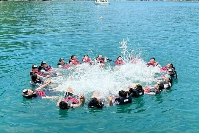 Cham Island Snorkeling Tour with Seafood Lunch Daily tour - Key Points