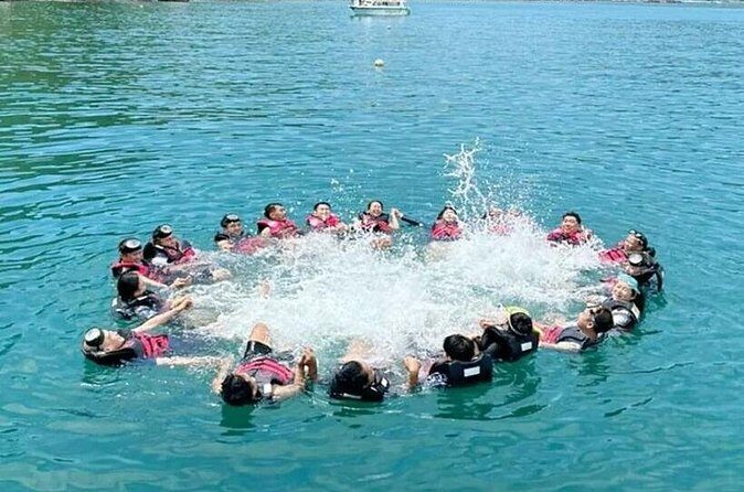 Cham Island Snorkeling Tour with Seafood Lunch Daily tour - FAQ