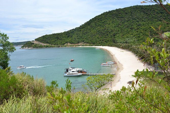 Cham Island Trip by Speed Boat including Snorkeling from Hoi An or Da Nang - What Travelers Are Saying: Authentic Perspectives
