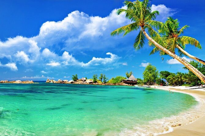 Cham Island Trip by Speed Boat including Snorkeling from Hoi An or Da Nang - The Sum Up