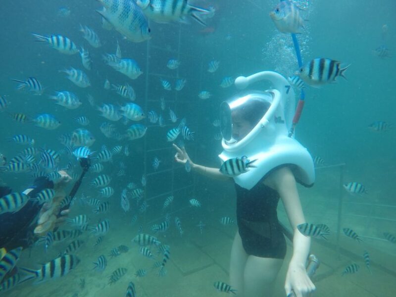 Cham Island: Underwater Walking & Snorkeling Tour - A Deep Dive into the Experience