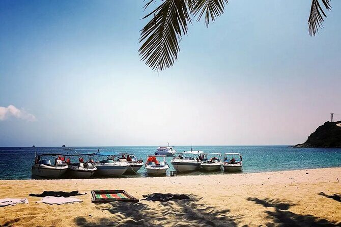 Cham Islands Day Tour from Hoi An - Exploring the Cham Islands Day Tour from Hoi An