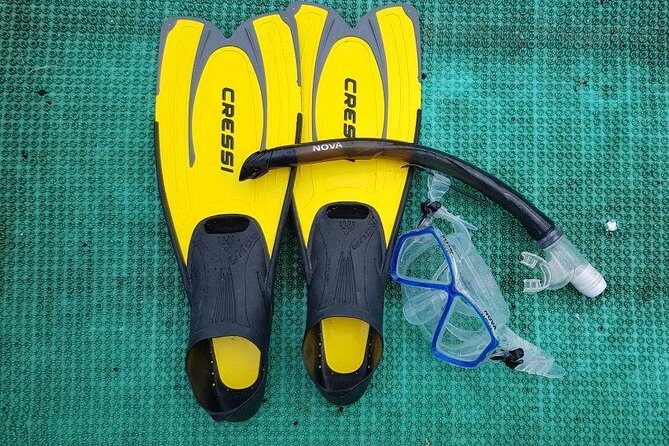 Cham Islands Snorkeling Tour by SpeedBoat from Da Nang - Who Would Enjoy This Tour Most?