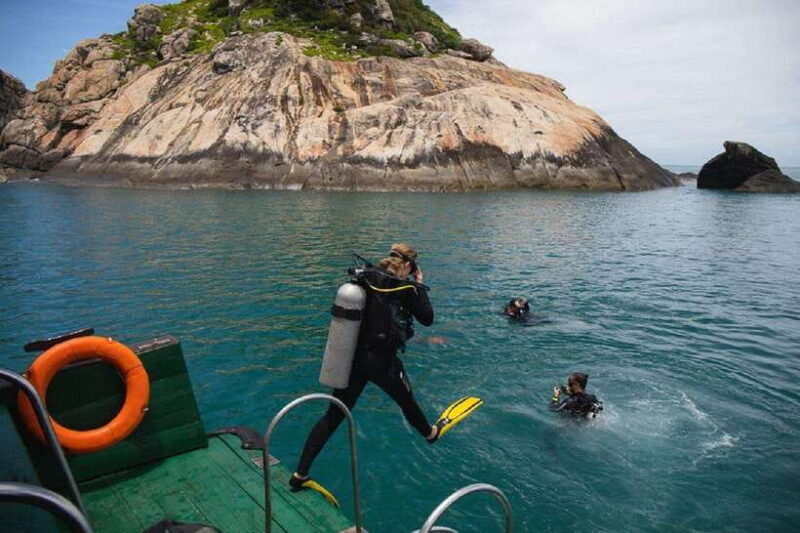 Cham Islands Snorkeling Tour by Speedboat : Hoi An/Da Nang - The Realities of the Experience