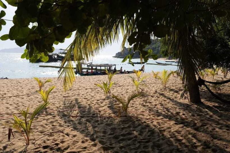 Cham Islands Snorkeling Tour by Speedboat : Hoi An/Da Nang - Authentic Perspectives