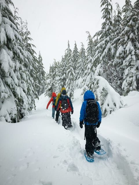 Chamonix: Snowshoeing under the stars - Key Points
