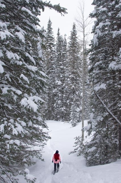 Chamonix: Snowshoeing under the stars - What to Expect: An in-depth look