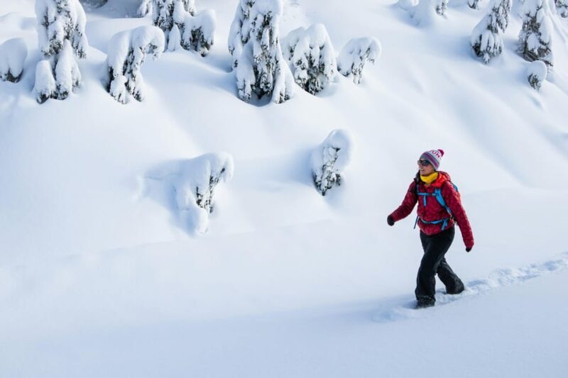 Chamonix: Snowshoeing under the stars - Final thoughts