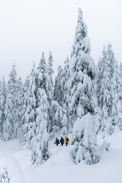 Chamonix: Snowshoeing with Local Cheese & Wine Tasting - Key Points