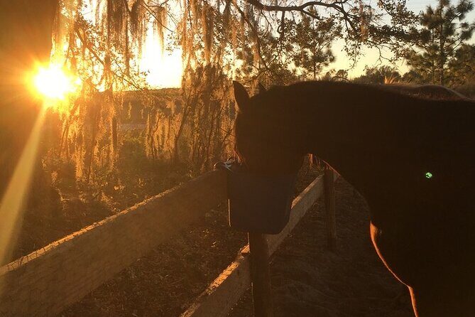 Champagne and Charcuterie Sunset Trail Ride - An In-Depth Look at the Sunset Trail Ride Experience