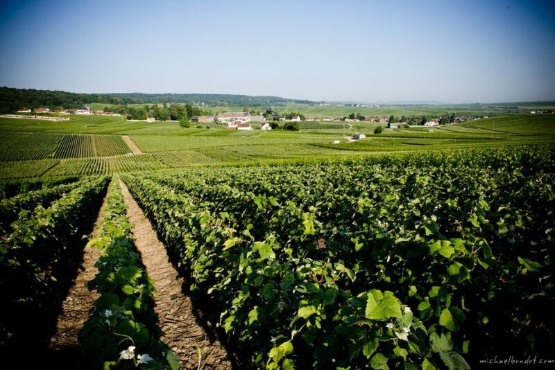 Champagne: Canard-Duchêne Champagne House Tour - Who Will Love This Tour?