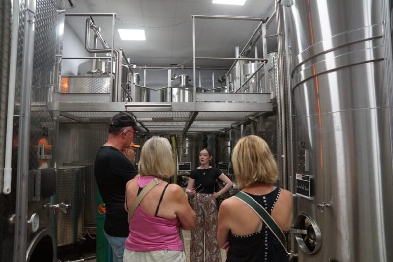 Champagne Cellar Experience: Explore our historic cellars - Who Should Consider This Tour?