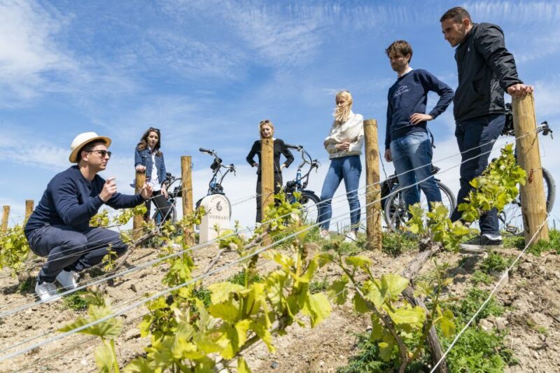 Champagne: E-Bike Champagne Day Tour with Tastings and Lunch - Authentic Experiences & Genuine Value