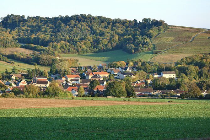 Champagne Guy De Chassey : Premium Tour and Tasting - Exploring Champagne Guy De Chassey