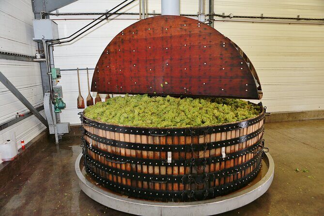 Champagne Guy De Chassey: Traditional Tour & Tasting - Exploring the Cellars and Traditional Methods
