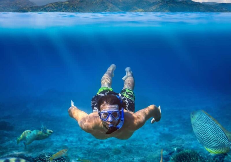 Champagne & Lobster Snorkeling Cruise - FAQ