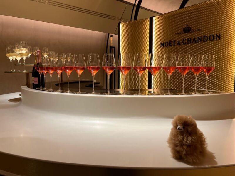 Champagne Private Day Trip: Epernay & Reims 9 glasses - In The Sum Up