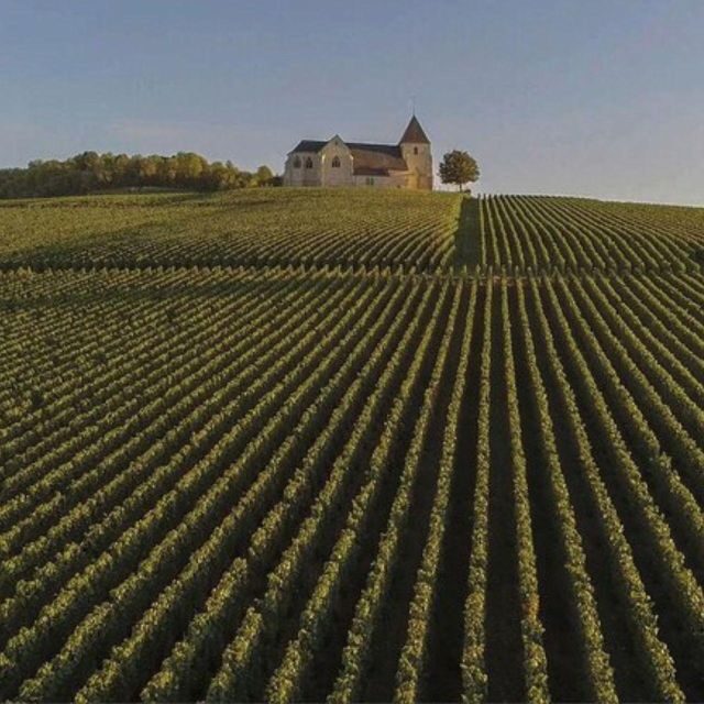 Champagne Region from Paris: Reims and Champagne Tasting - Key Points