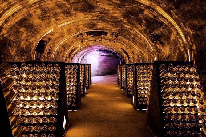 Champagne - Reims: Private tour from Paris by minivan - Who Will Love This Tour?