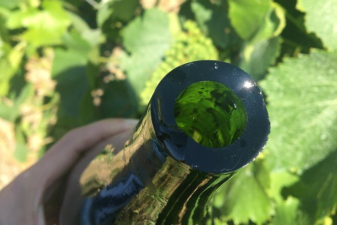 Champagne Sabrage & Tasting - Champagne PIERRE Laurent - Final Thoughts